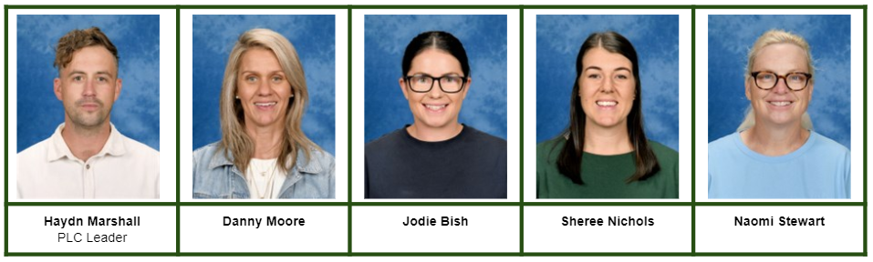 Meet the Team