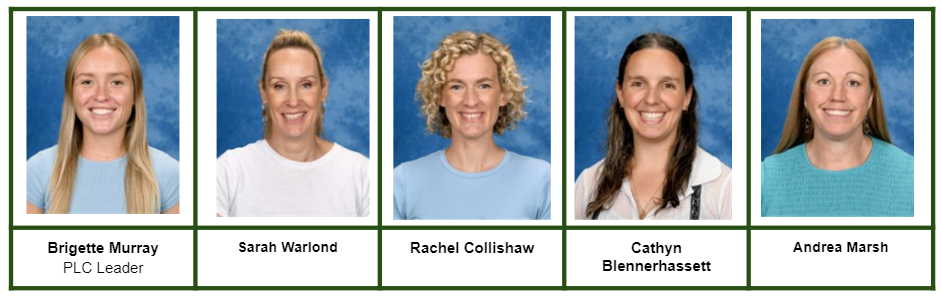 Meet the Team